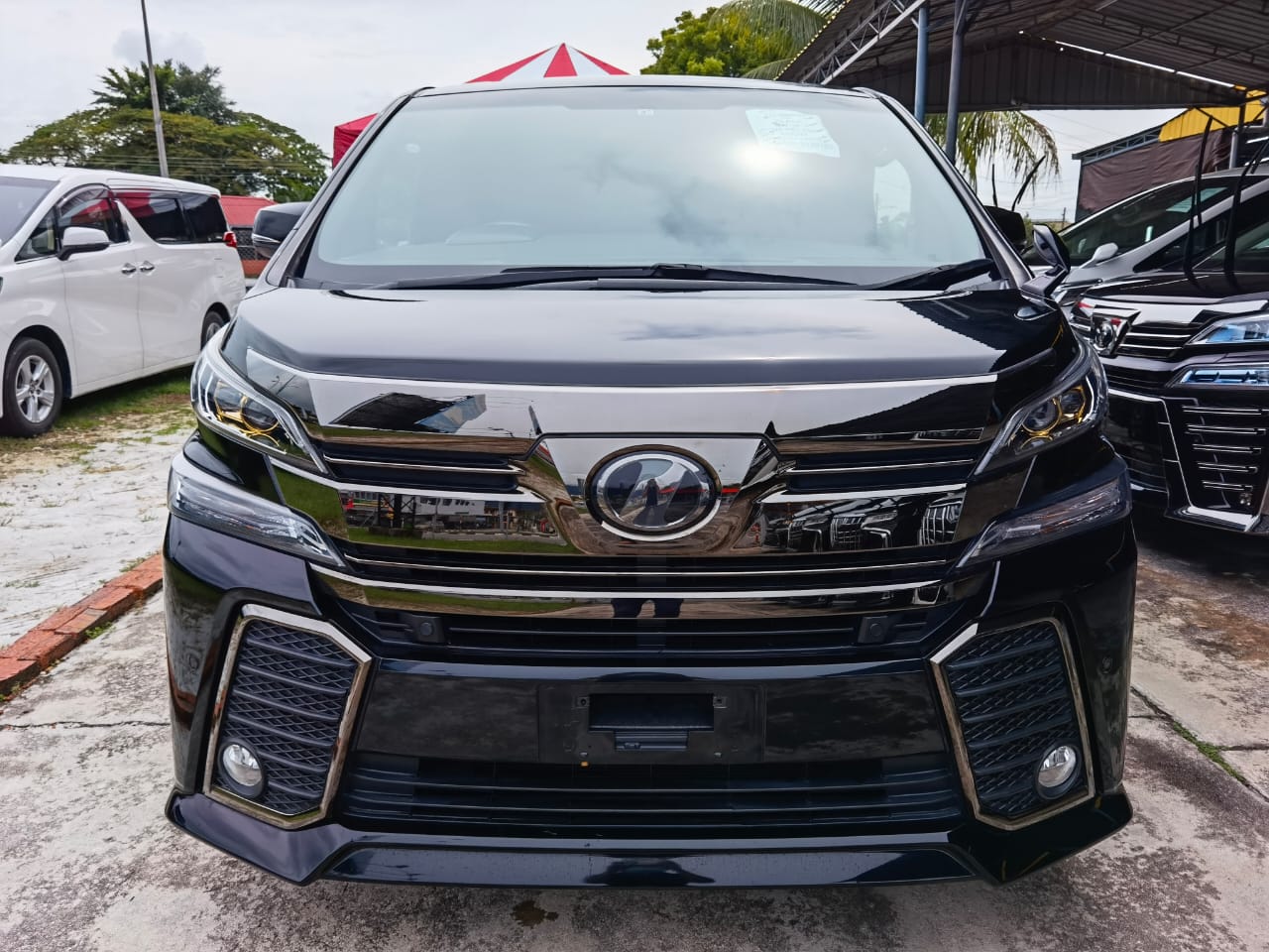 Toyota Vellfire Golden Eye #9763 - TPC RECON CARS