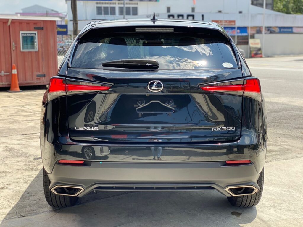 LEXUS NX300 i-PACKAGE 2.0T 2020 #5168 - TPC RECON CARS